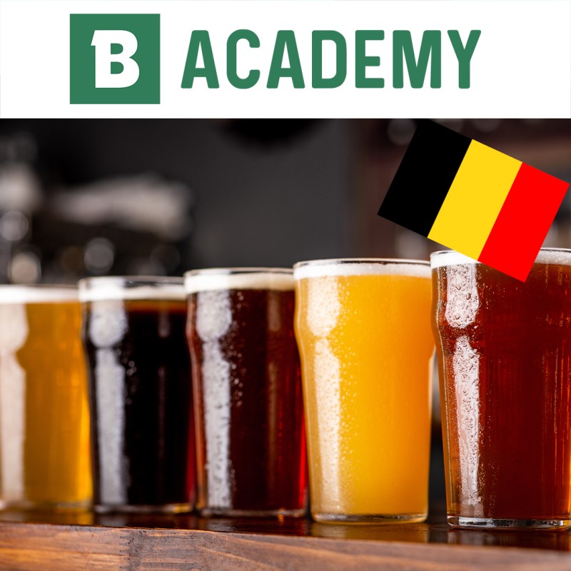 Einführung in belgische Bierstile - voordelig kopen - bij Braumarkt